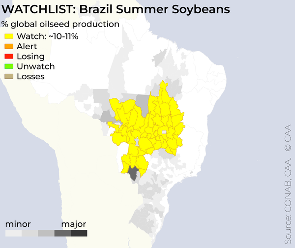 THE WATCHLIST: Brazil ‘bean watch – Cornucopia