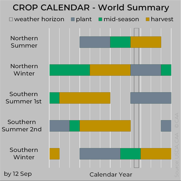 THE WATCHLIST: Live Transition – Cornucopia